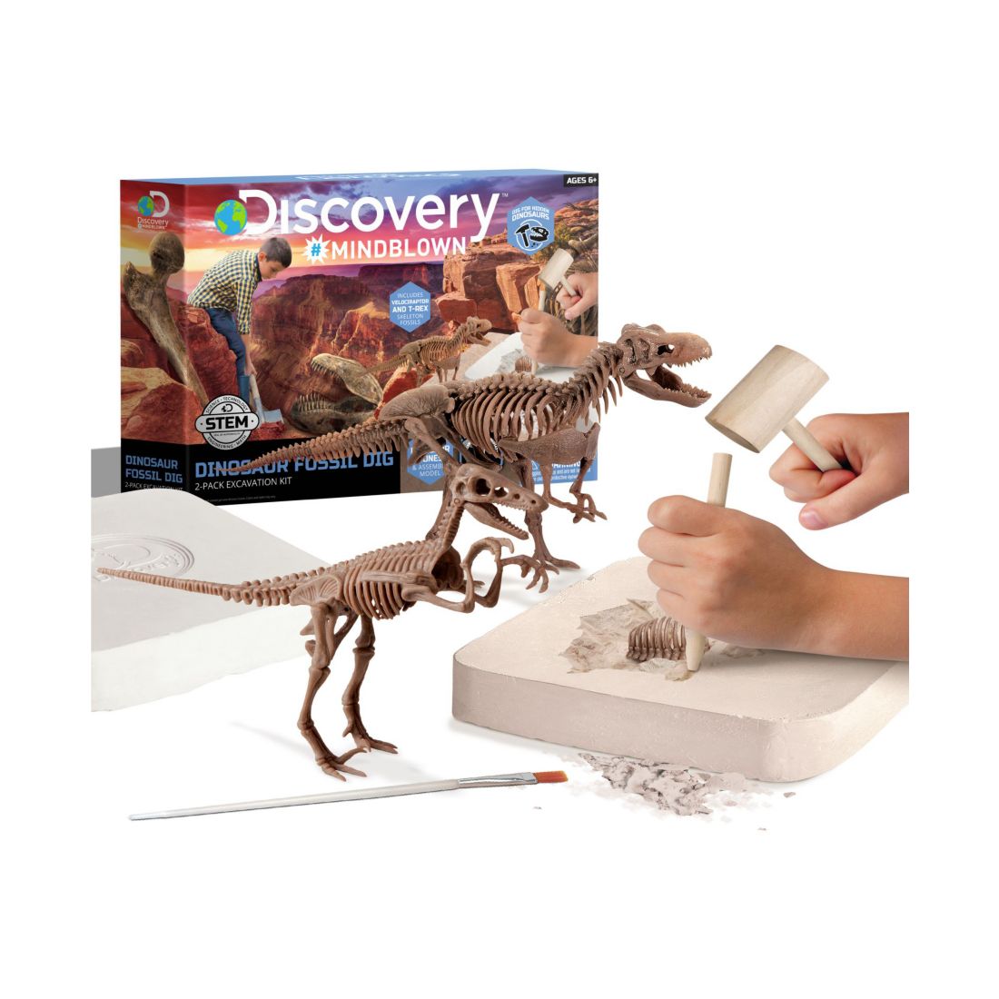 Macy s Men Home Furniture Discovery MindBlown Toy Dinosaur Excavation Kit Skeleton 3D Puzzle Stem available now at Del Amo Fashion Center